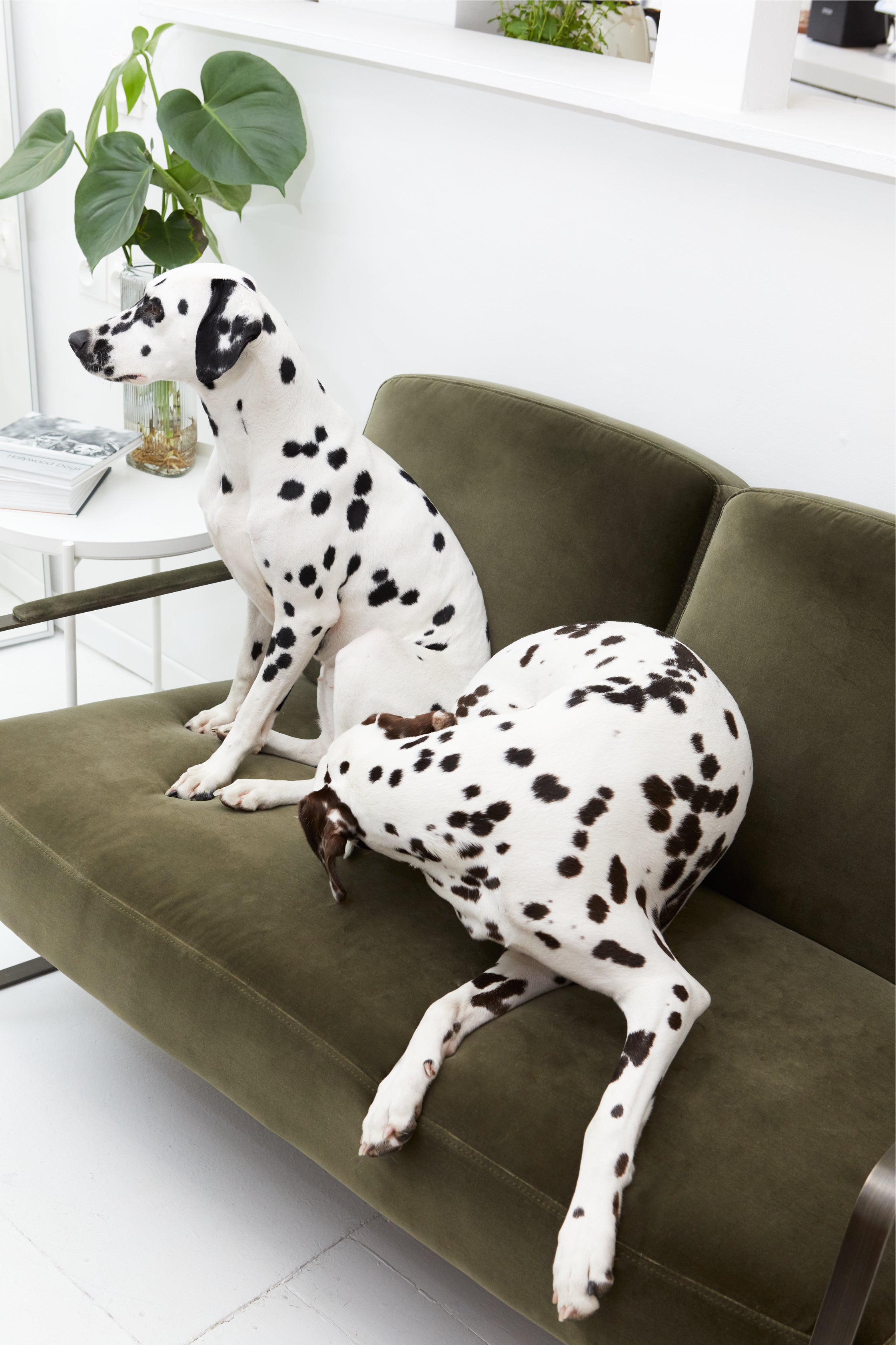 Café – BARKERS+BROTHERS